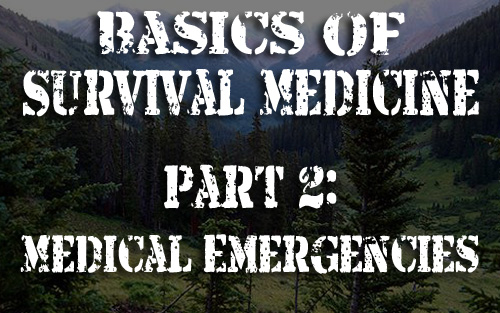 Survival Skills to Teach Your Children – Preparedness Hub